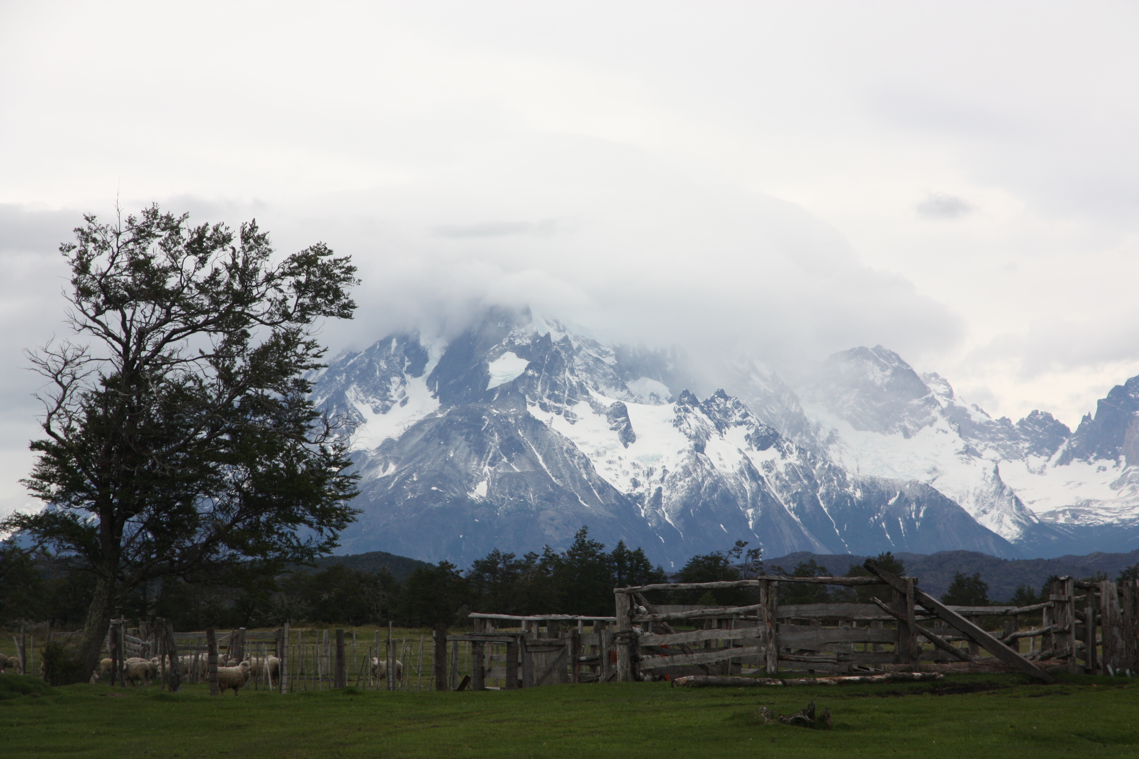 A taste of farm life in the wilds of Patagonia | Where to next?