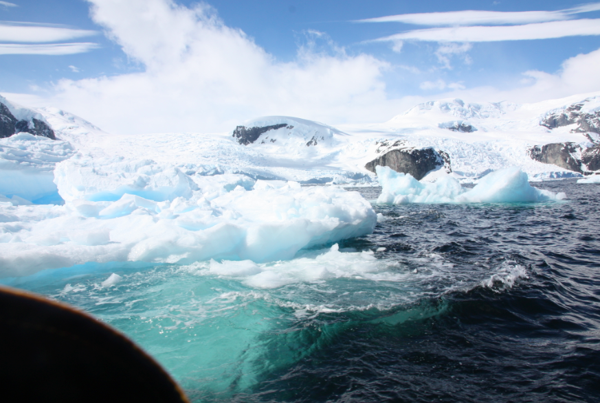 Danco Island—a gentleman comes to call in Antarctica | Where to next?