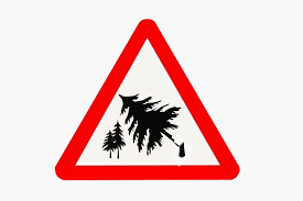 ‘Oh shoot’ or ‘oh chute’—confusion and laughter | Where to next?