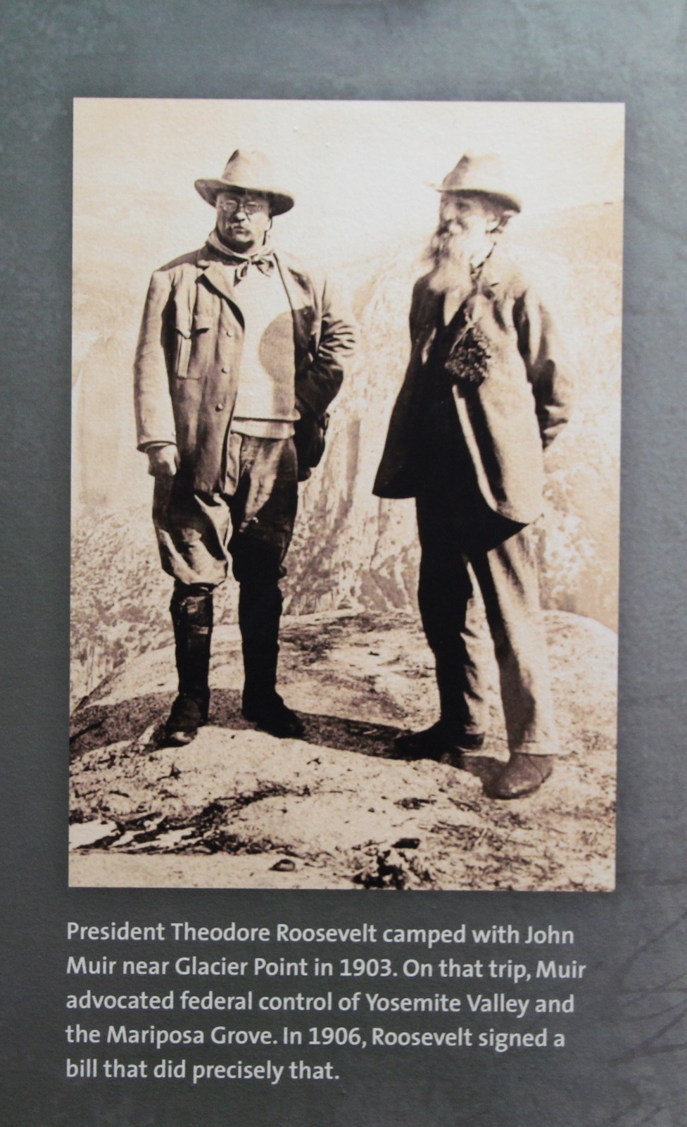 Plenty to do in Yosemite National Park | Where to next?