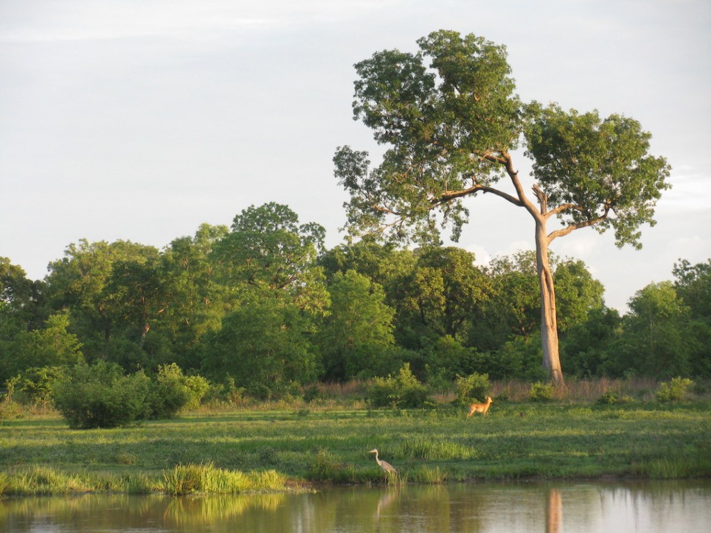 Ghana national park is home to almost 500 species | Where to next?