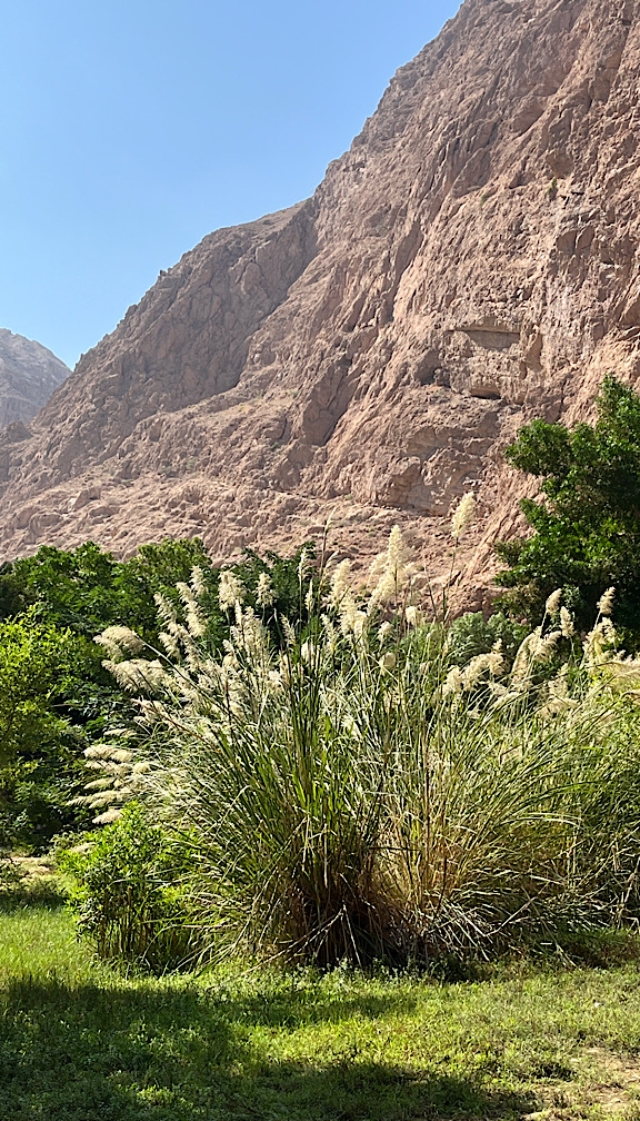 Whaddya do? We went to a wadi | Where to next?